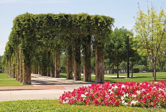 Addison | Tour Texas